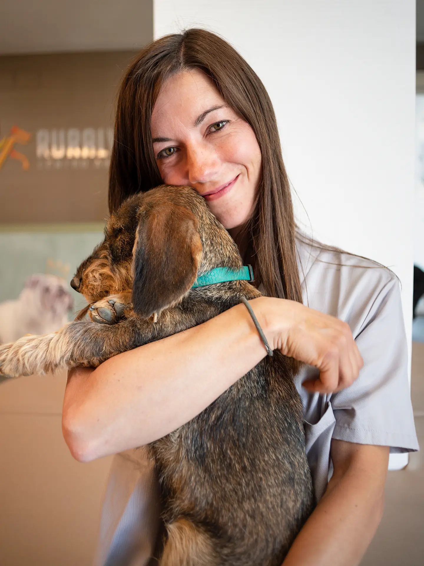 Manejo de Mascotas con Problemas de Conducta: Guía de Estrategias ...